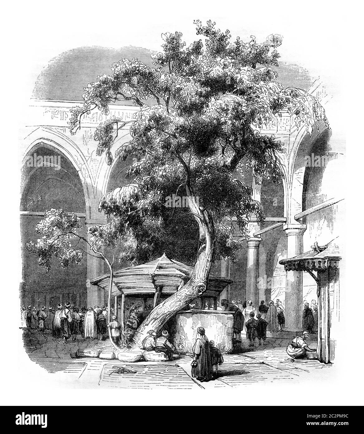 Kesmas baradeyeh hi-res stock photography and images - Alamy