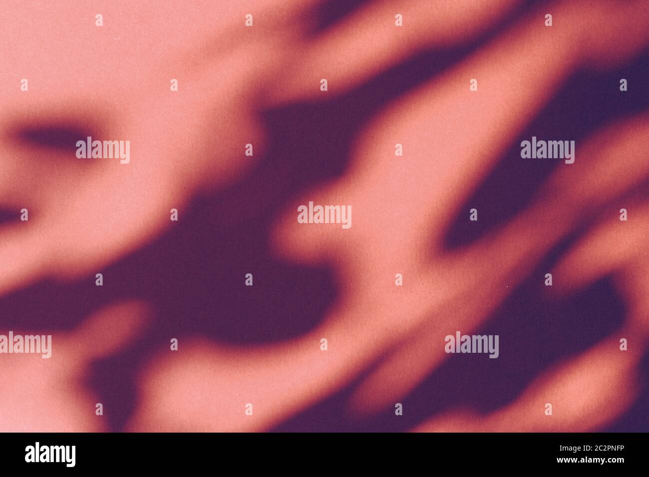 Abstract art, botanical shadows overlay on brown background for holiday ...