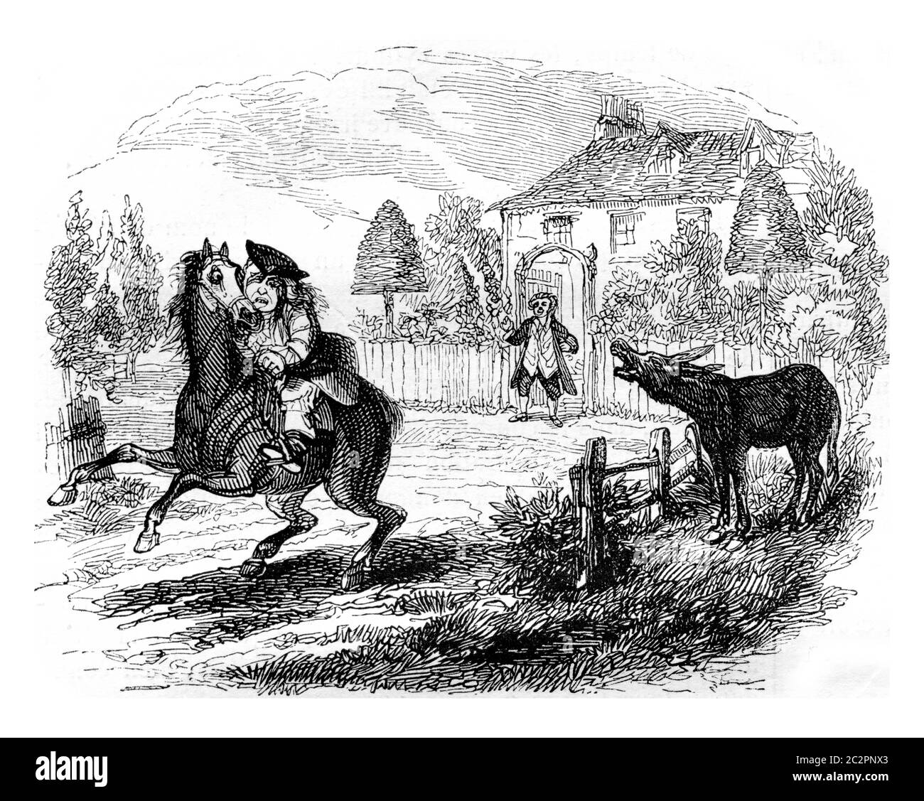 Infernal Gallop High Resolution Stock Photography and Images - Alamy