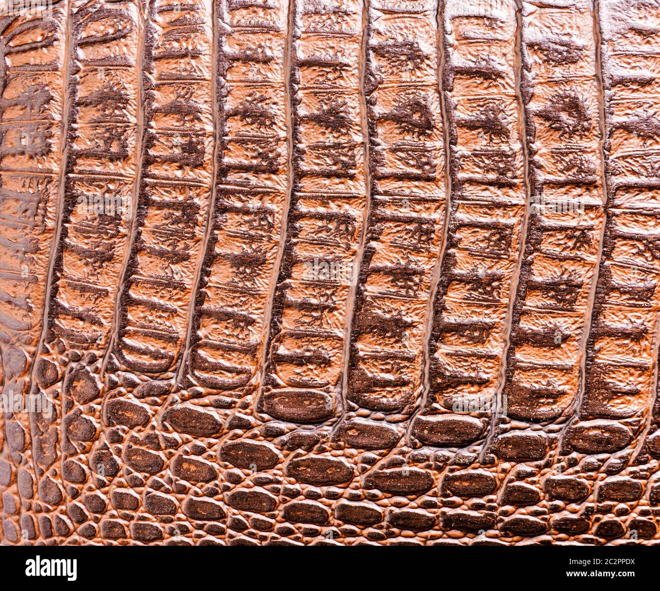 Crocodile skin leather texture closeup picture Stock Photo - Alamy