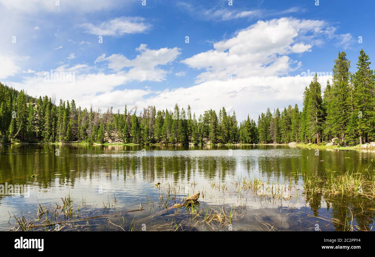 Flora and fauna of Rocky Mountain National Park, Colorado USA Stock ...