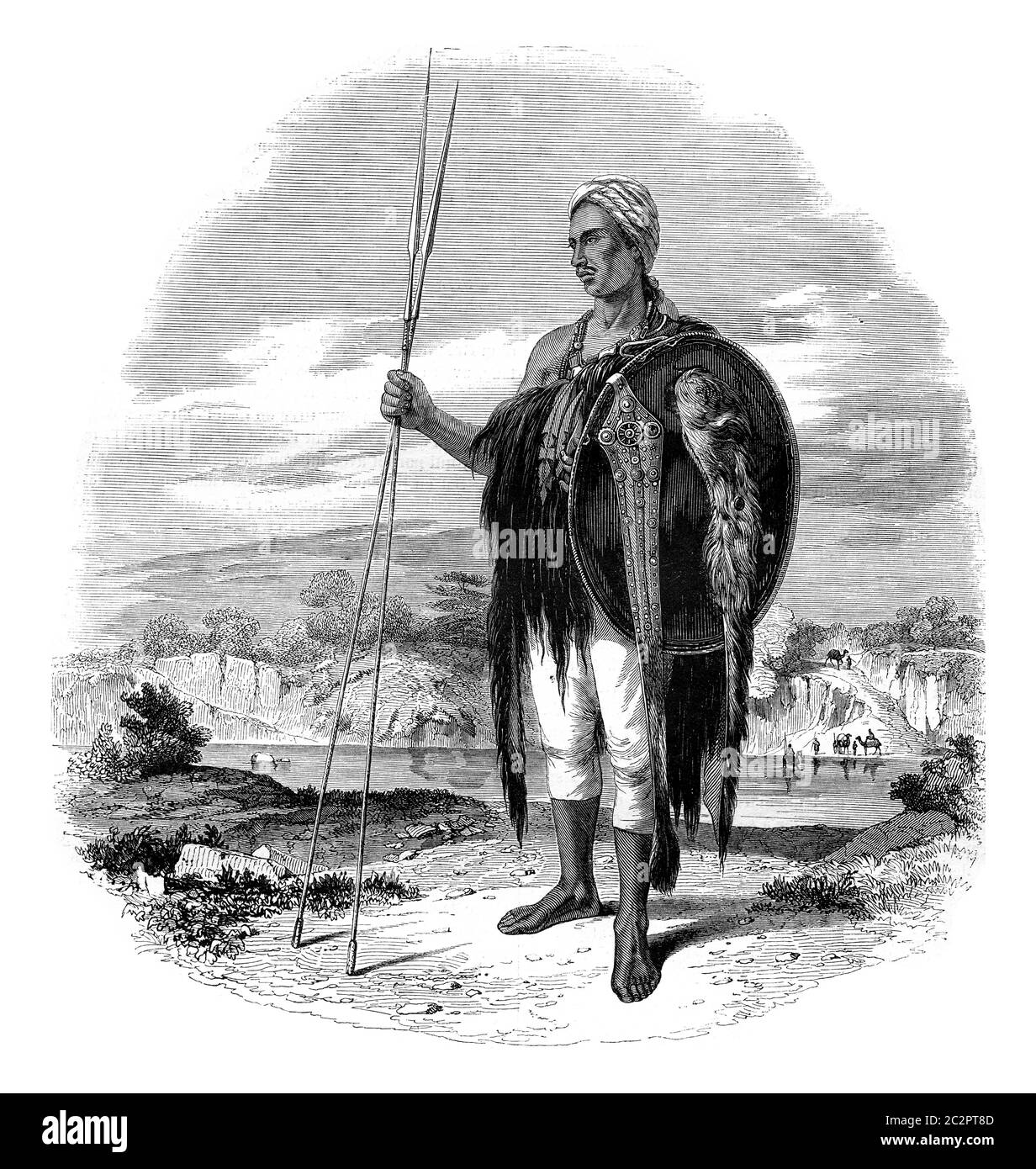 Abyssinian spear Cut Out Stock Images & Pictures - Alamy