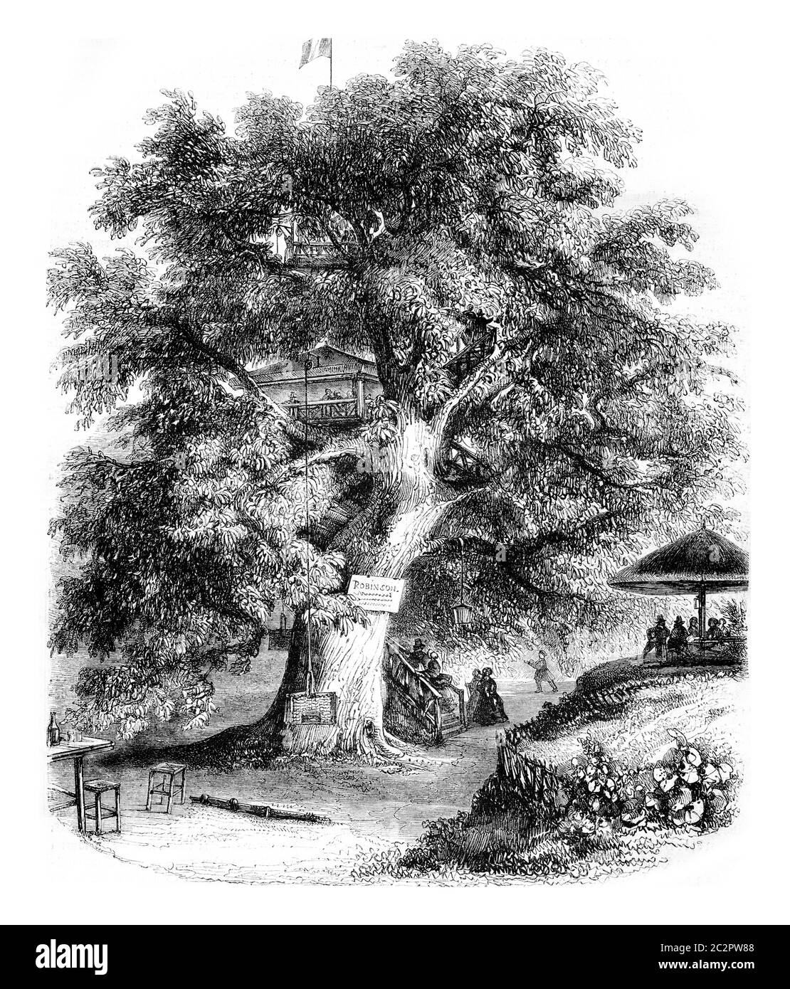 Sceaux environment, The Chestnut by Robinson, vintage engraved ...
