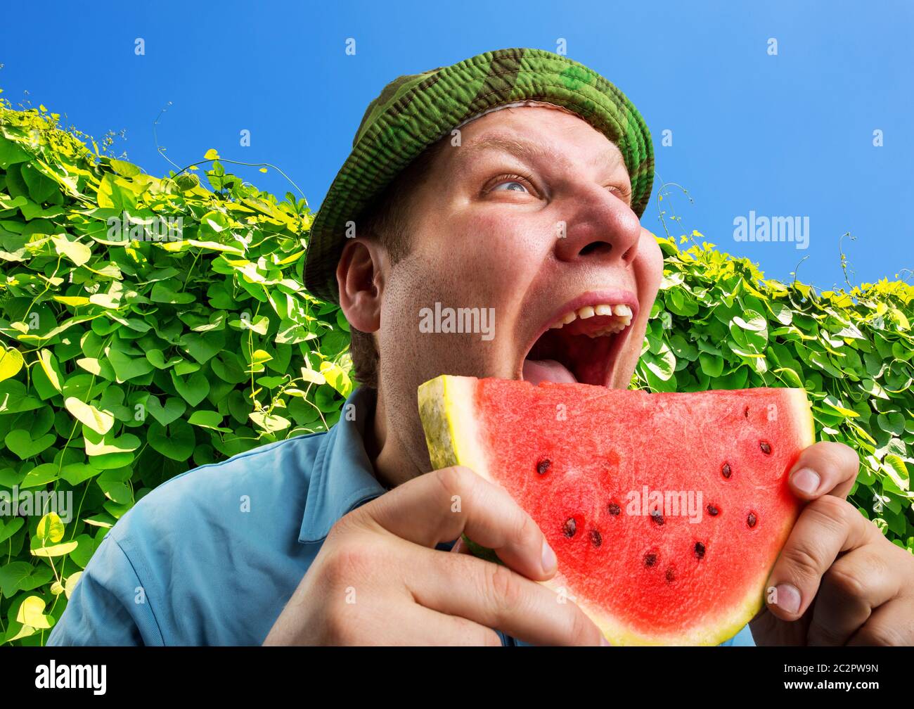 Bizarre man eating watermelon outdoors in summer Stock Photo - Alamy