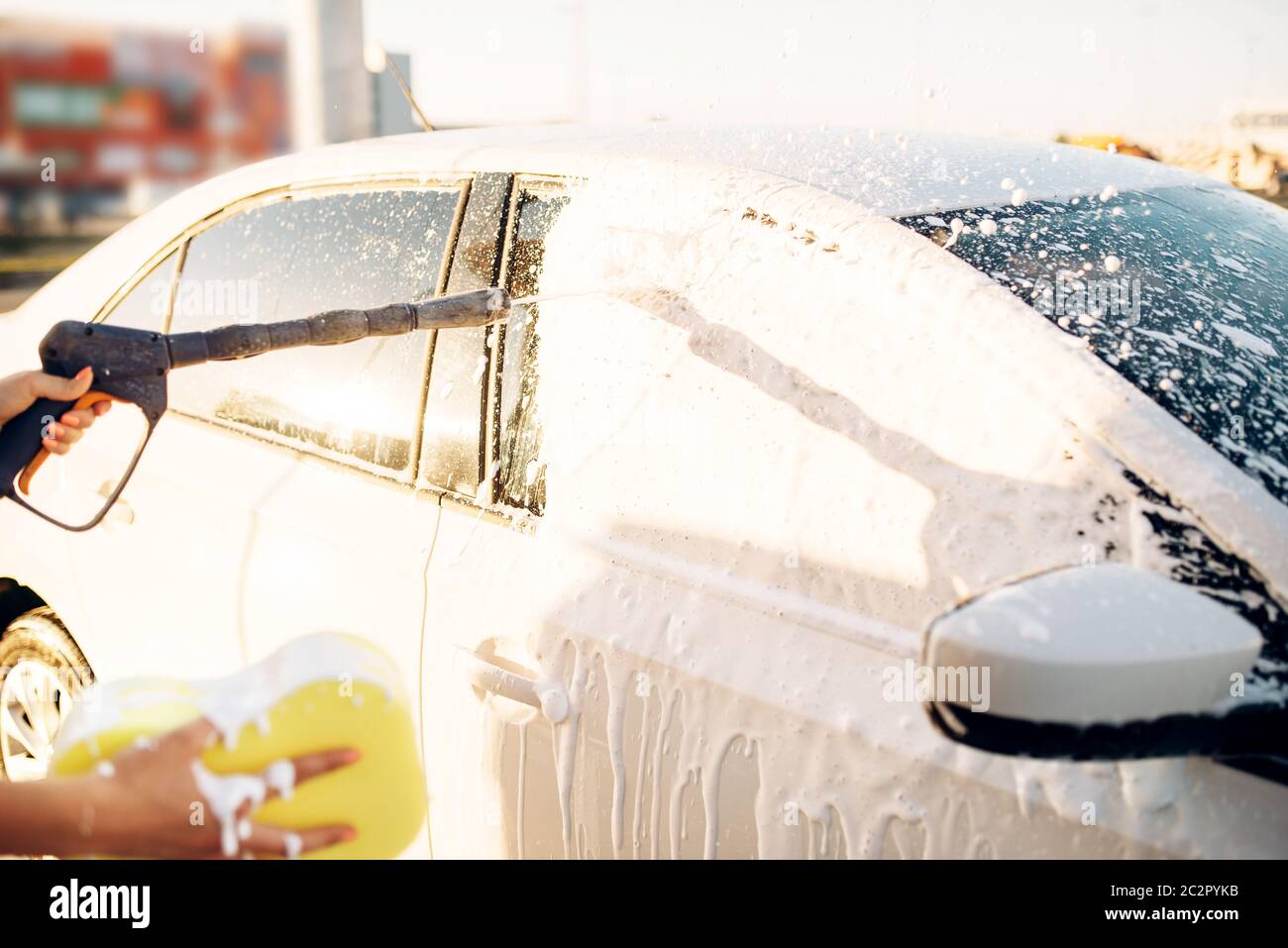Female person hand with sponge scrubbing vehicle with foam, car wash ...