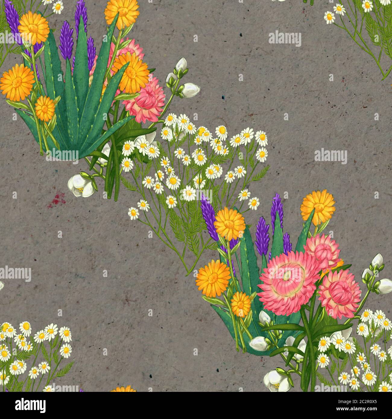 Hand drawn medicinal plant seamless pattern. Healing herbs drawing on ...