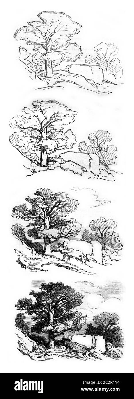 Progressive models drawing, vintage engraved illustration. Magasin ...