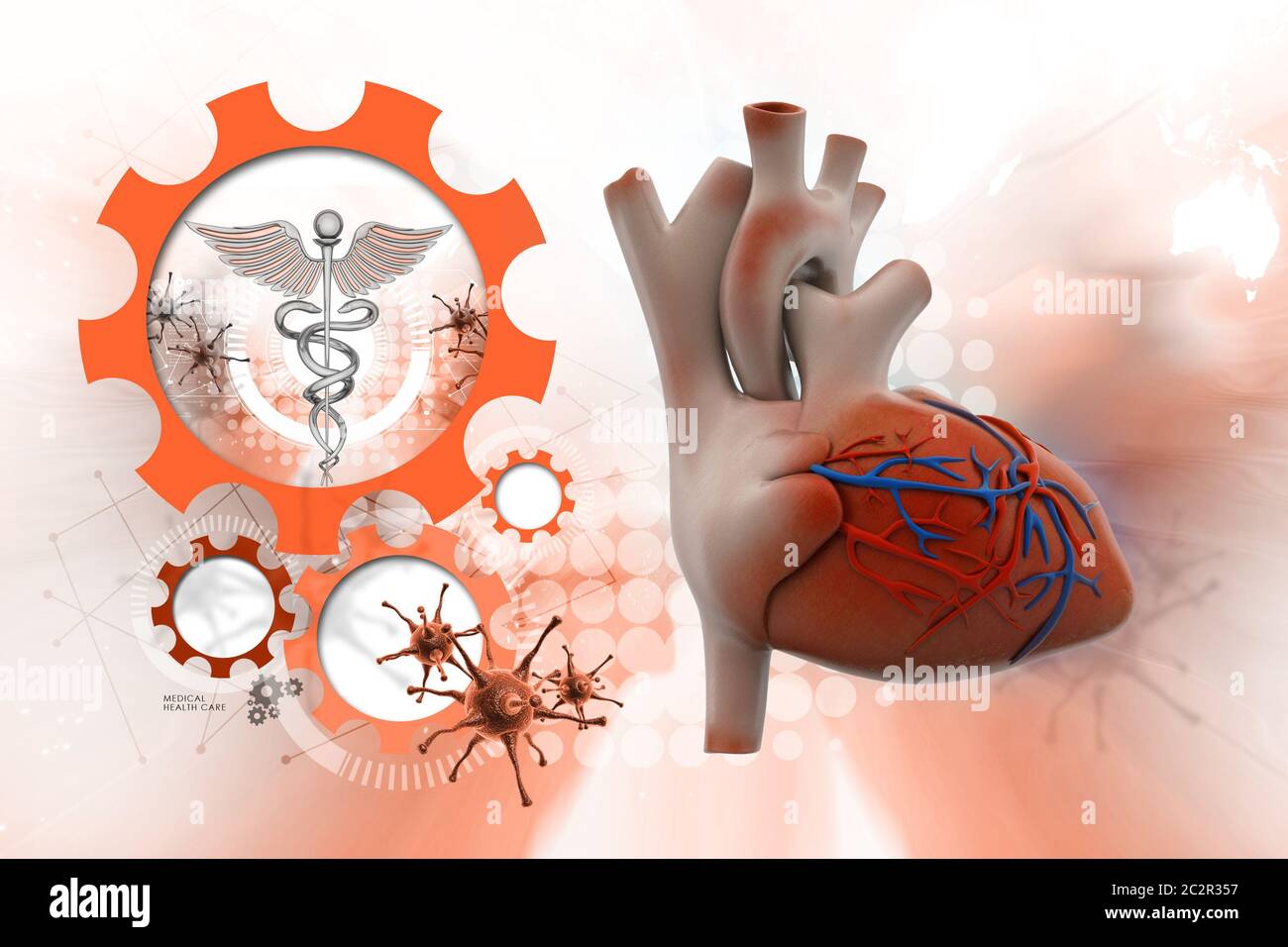 Real human heart hi-res stock photography and images - Alamy