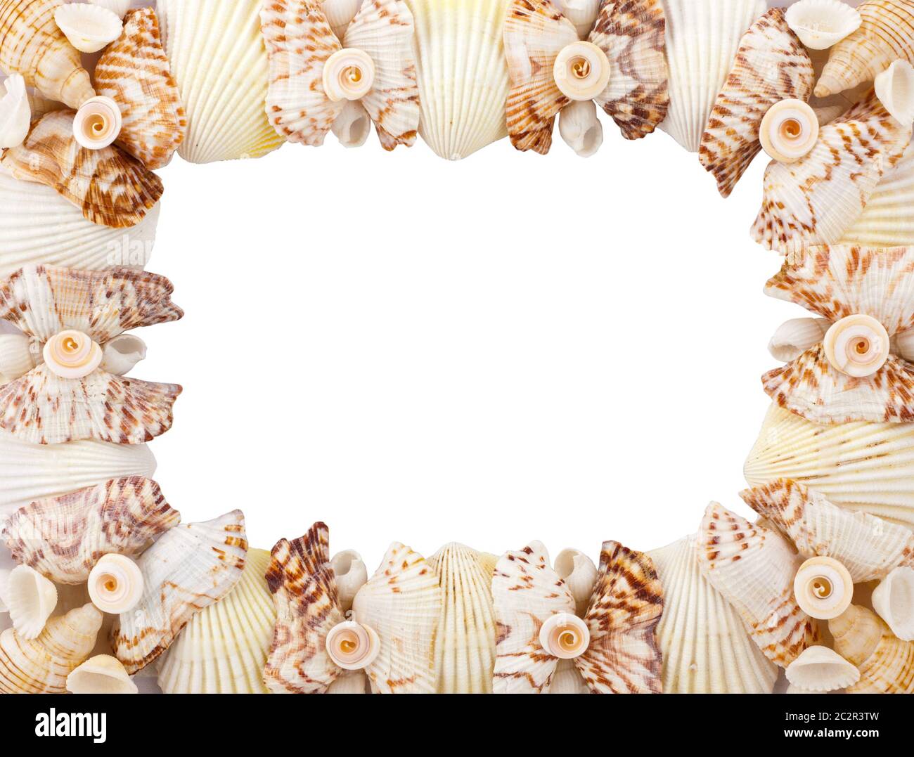 Sea shells frame isolated on white background Stock Photo - Alamy