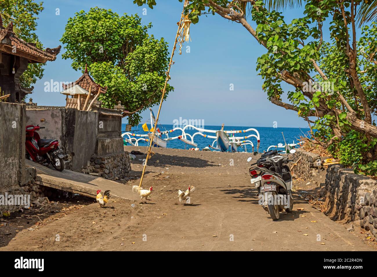 BALI, INDONESIA - December 01, 2019: chickens walking near traditional ...