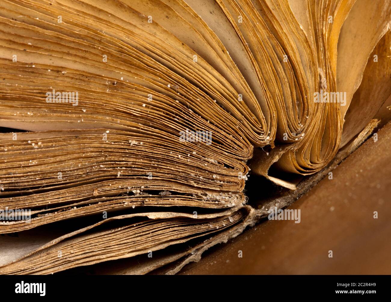 Vintage book documents ancient hi-res stock photography and images - Alamy