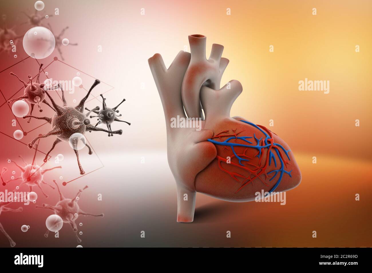 Human heart x ray hi-res stock photography and images - Alamy