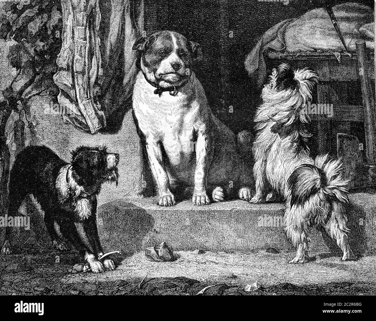 The neighbor of the annuitant V Arnoldt, vintage engraved illustration ...