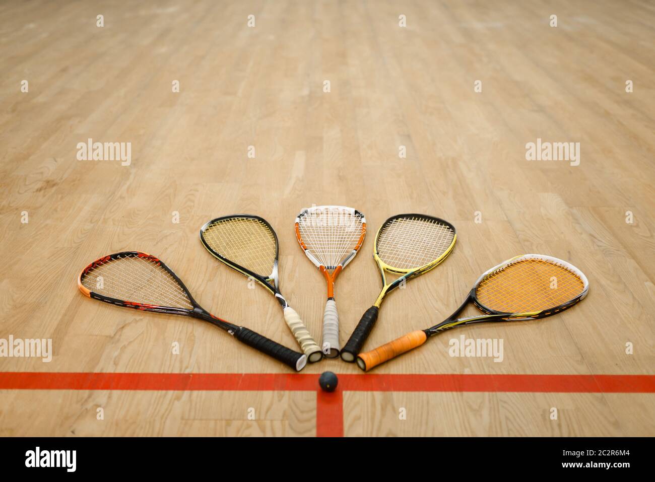 Squash rackets and ball on court floor, nobody. Active sport hobby ...