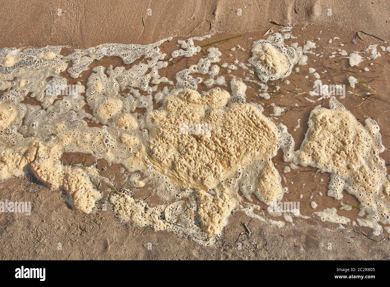 Texture of yellow foam produced by pollutants on the sea water of a ...