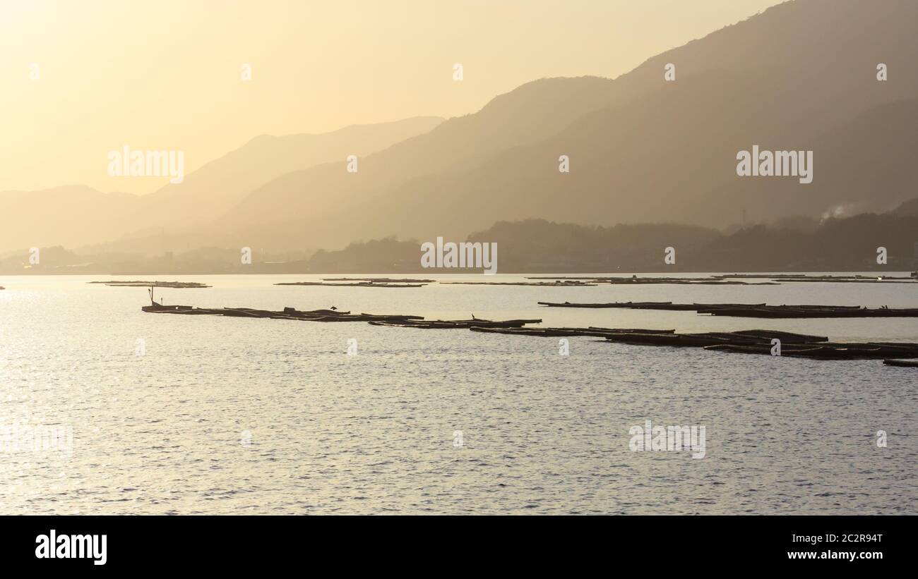 Miyajima farm hi-res stock photography and images - Alamy