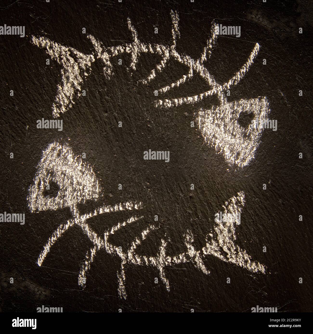 two fish skeleton Stock Photo - Alamy