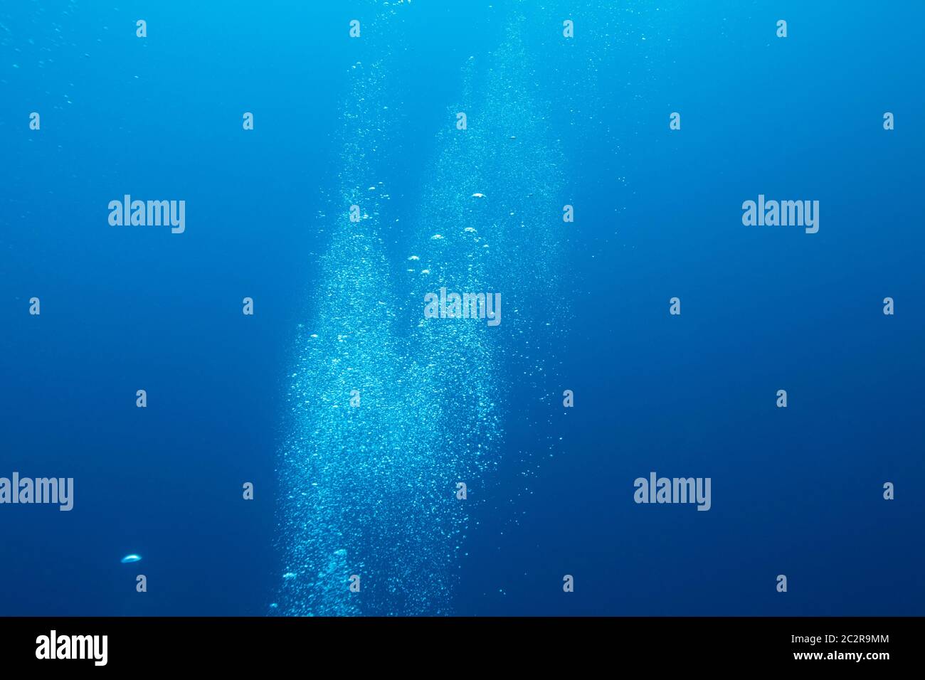 Bubbles from scuba diving hi-res stock photography and images - Alamy