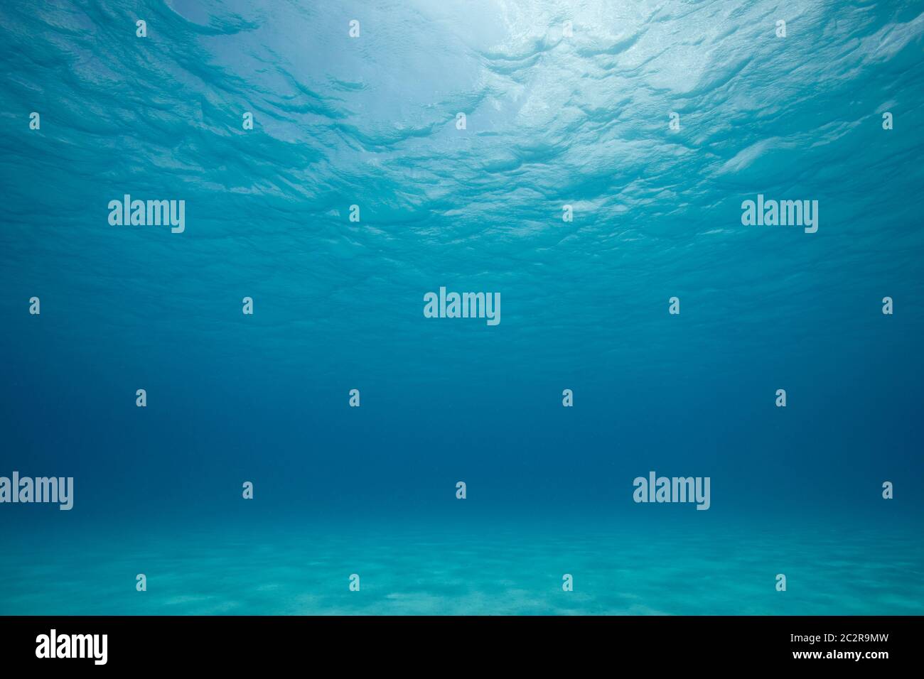 Underwater Surface Texture High Resolution Stock Photography and Images ...