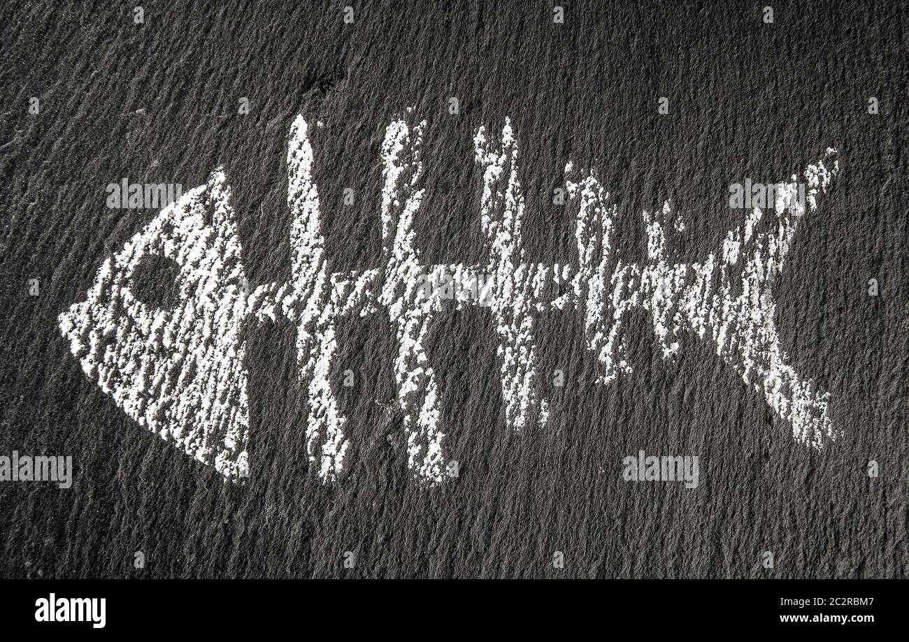 fish skeleton chalk Stock Photo - Alamy