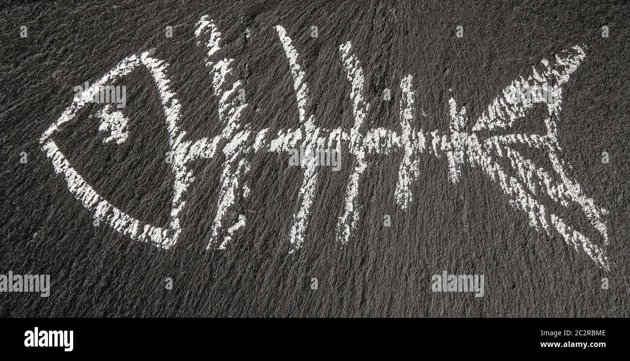 fish skeleton chalk Stock Photo - Alamy