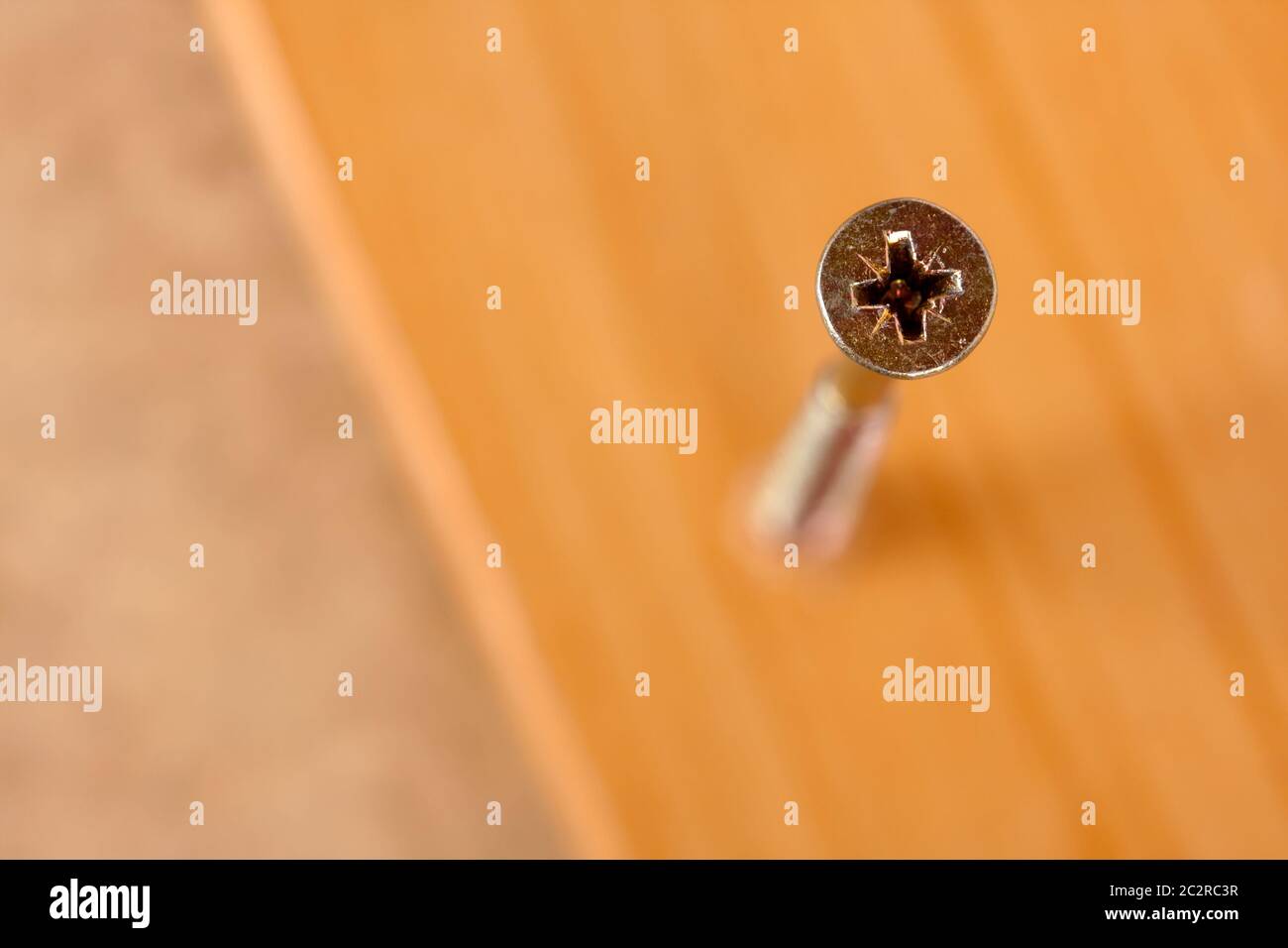 Focus on head of screw in lumber Stock Photo - Alamy