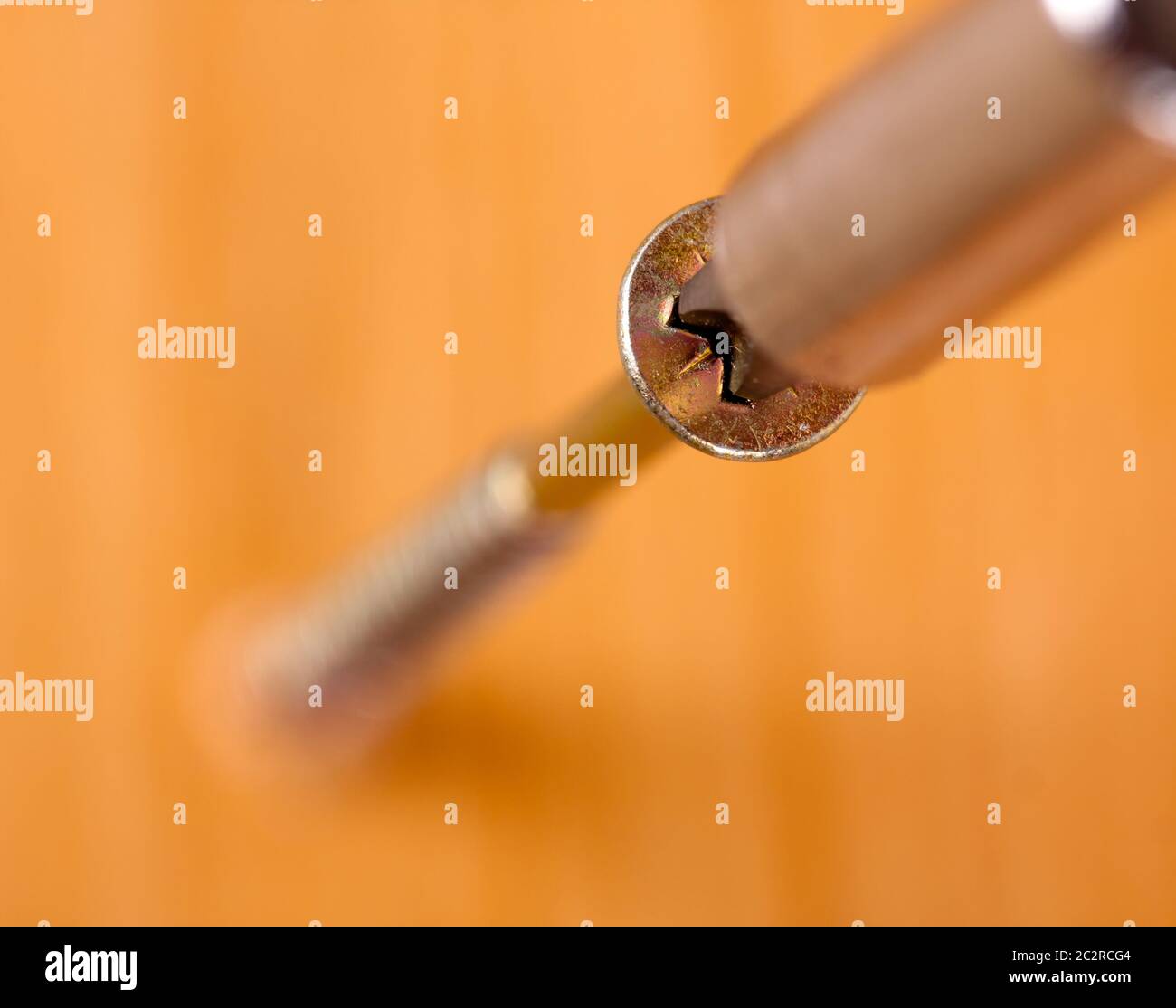 Screwing a screw into lumber. Close-up view Stock Photo - Alamy
