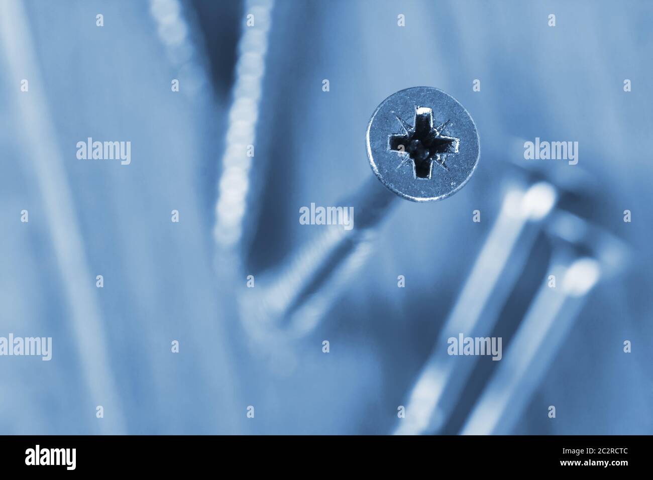 Focus on head of screw in lumber. Toned in blue Stock Photo - Alamy