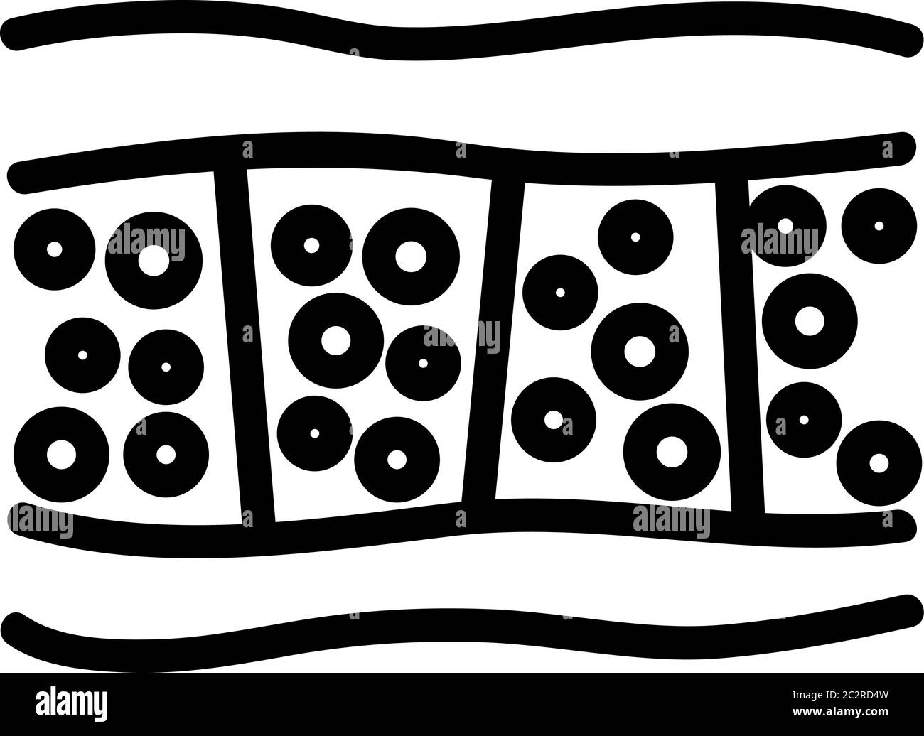 cellulite anatomical section icon vector outline illustration Stock ...