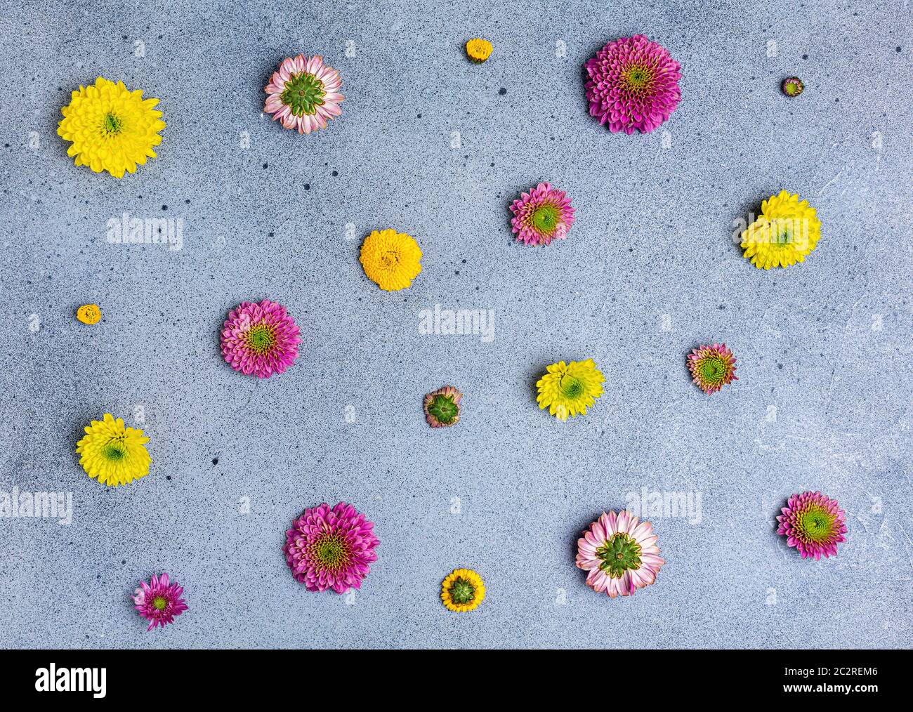 Creative flowers hi-res stock photography and images - Alamy
