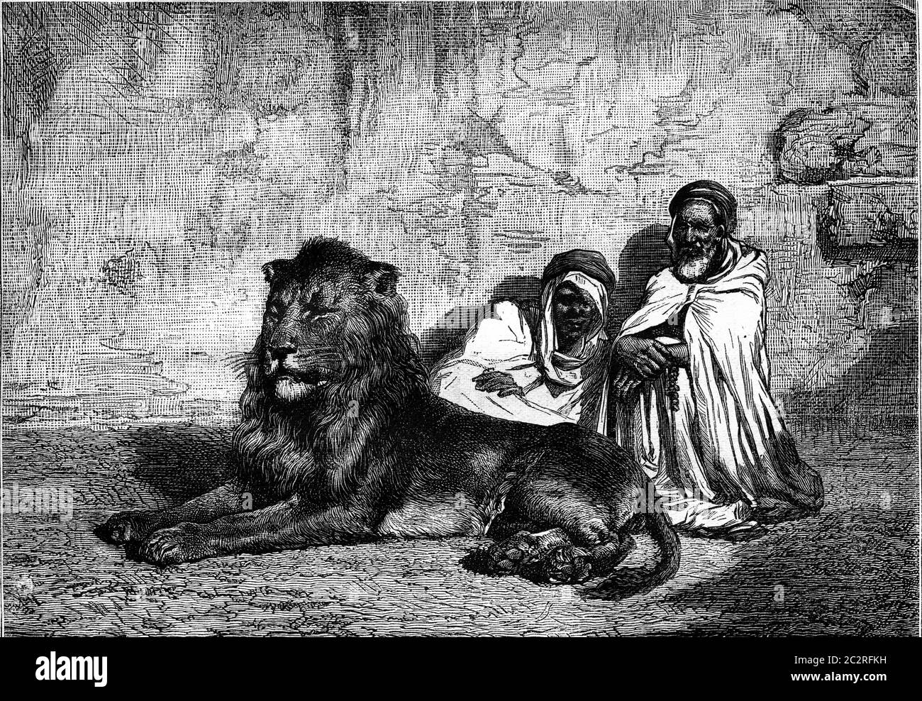 The Blind Lion marabout, vintage engraved illustration. Magasin ...