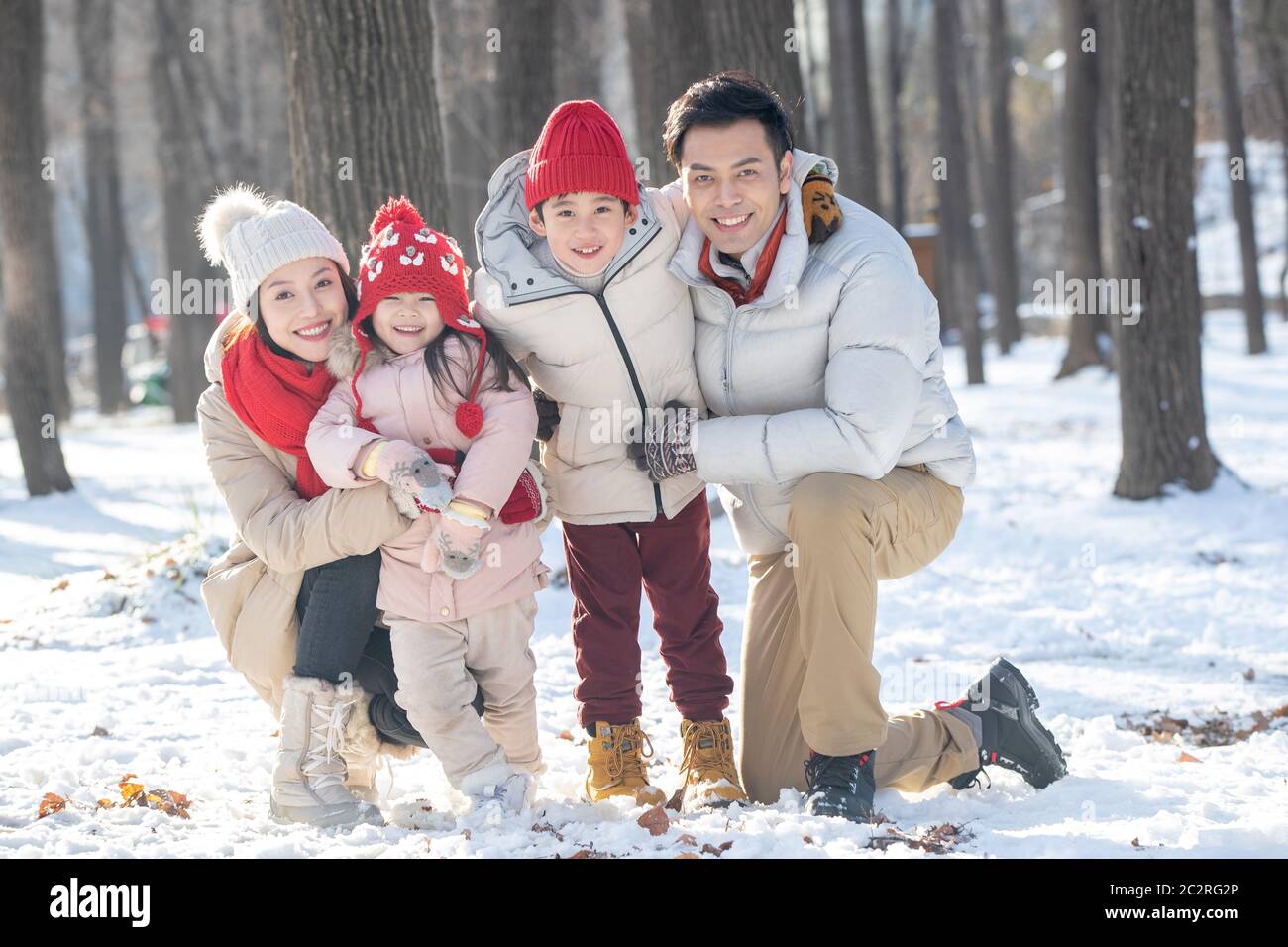 Happy family playing in the snow Stock Photo - Alamy