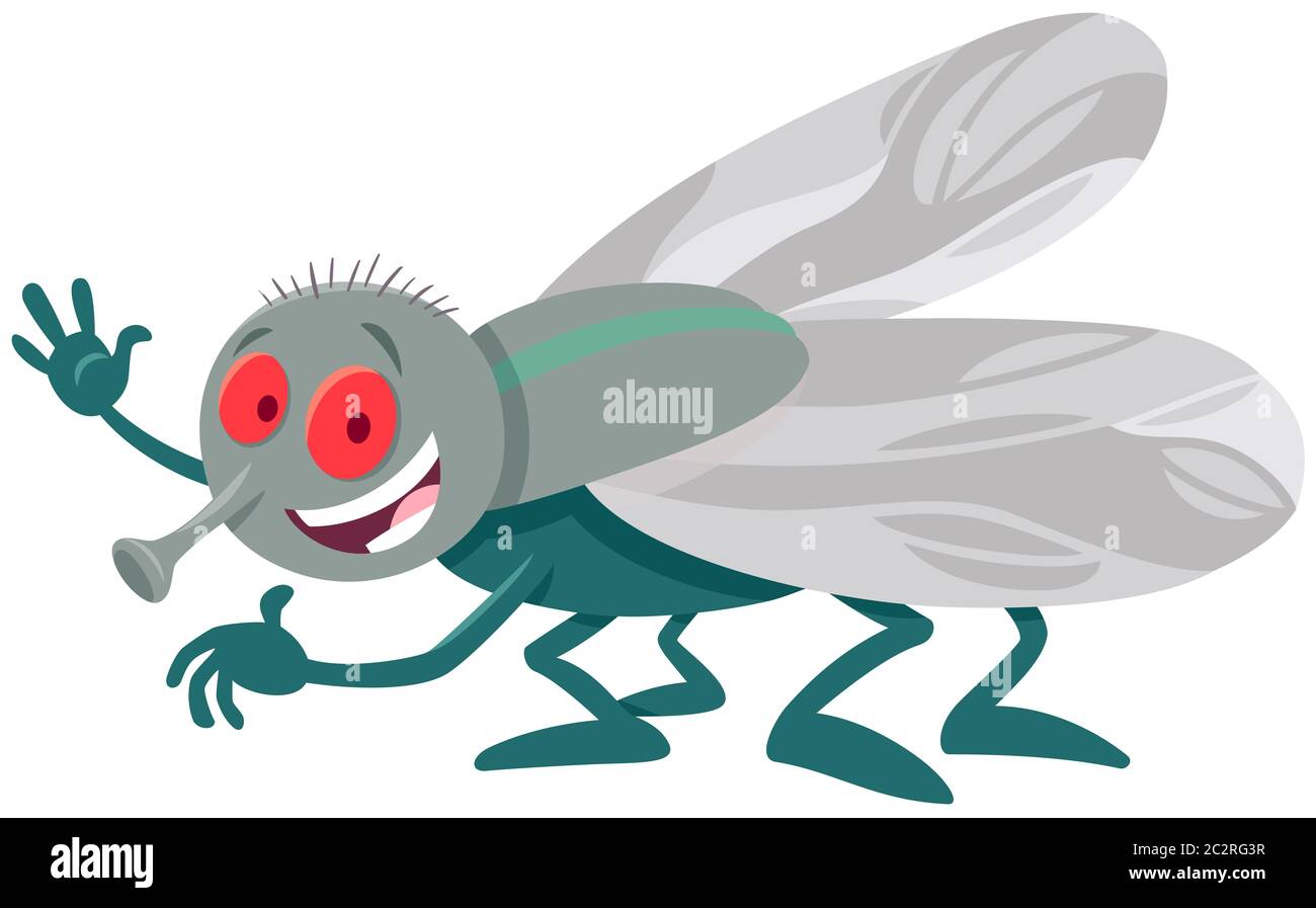 Funny fly hi-res stock photography and images - Alamy
