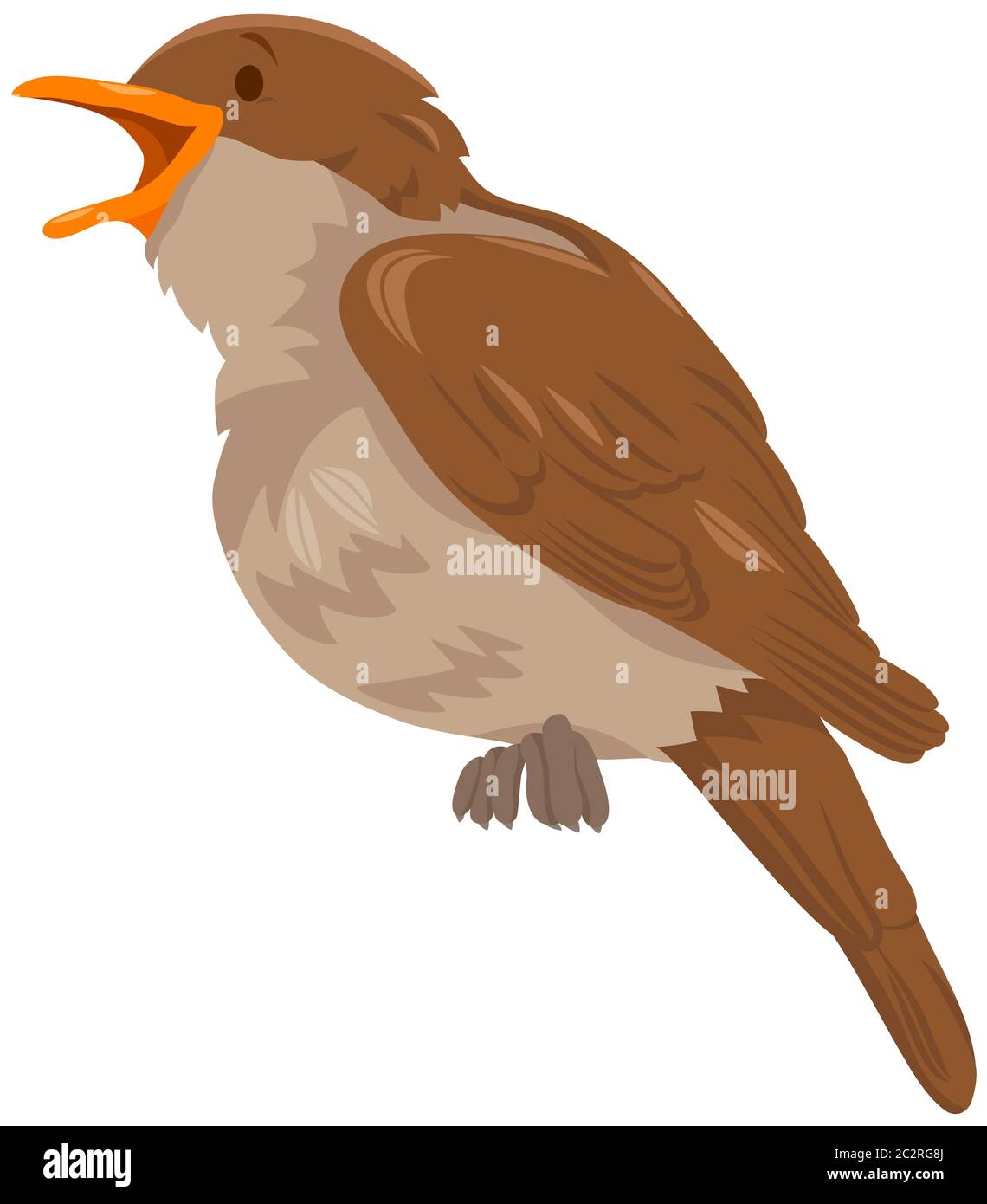 nightingale bird animal cartoon character Stock Photo - Alamy