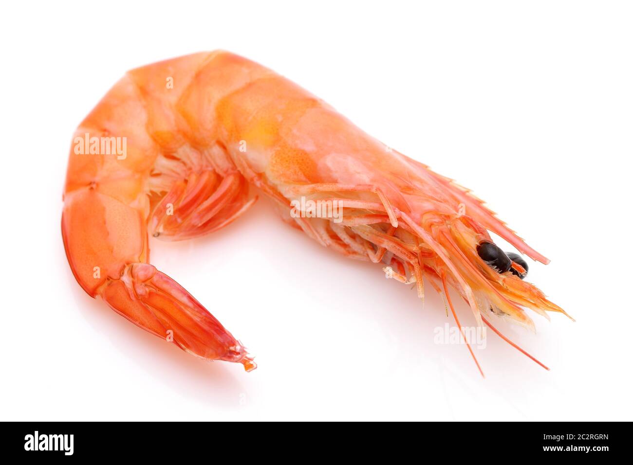 Raw shrimp tail hi-res stock photography and images - Alamy