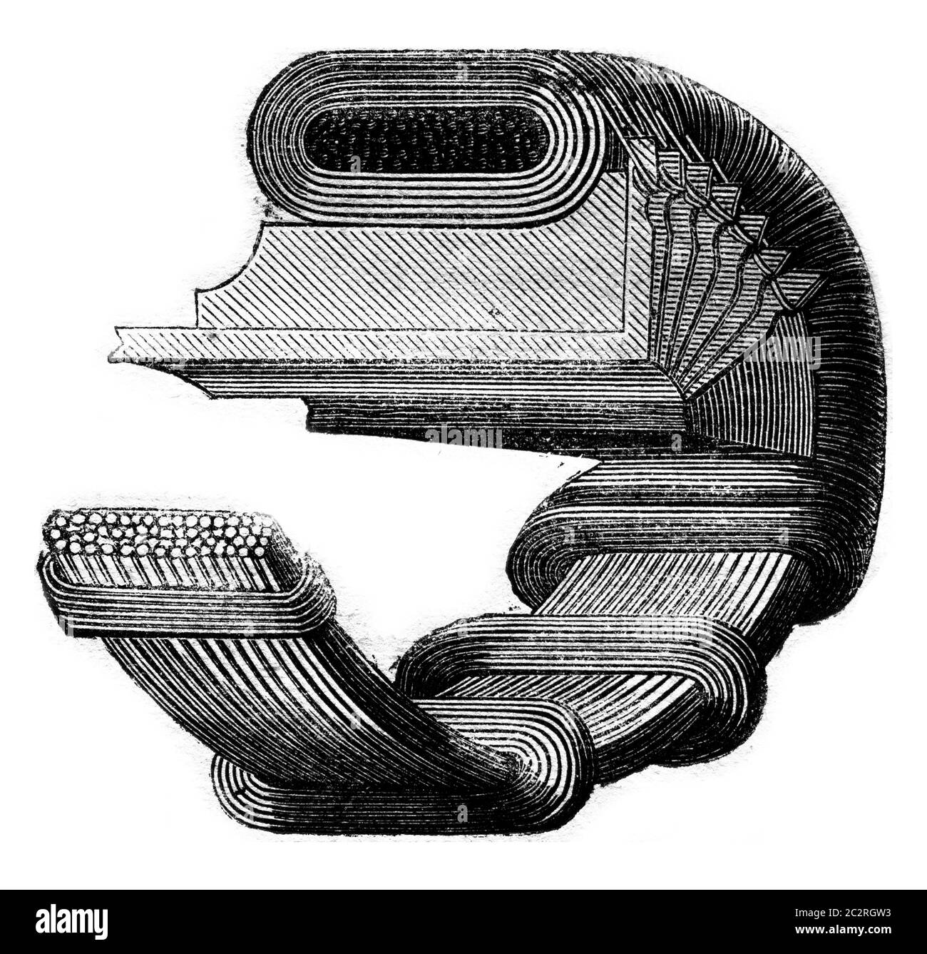 Flexuous bacteria and lengthened by culture, vintage engraved ...