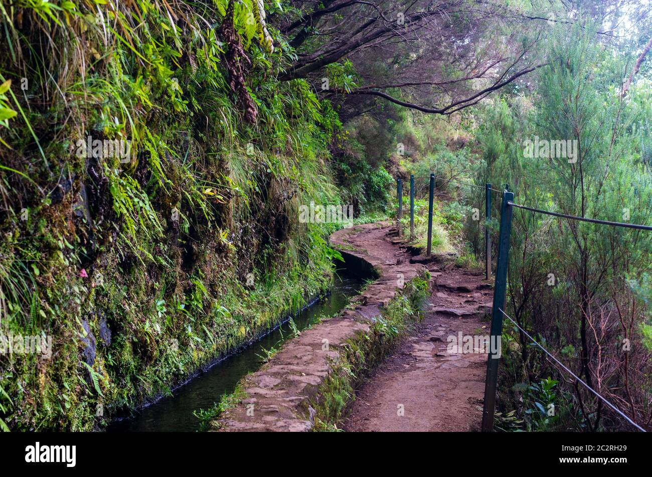 Levada irrigation canal madeira hi-res stock photography and images - Alamy
