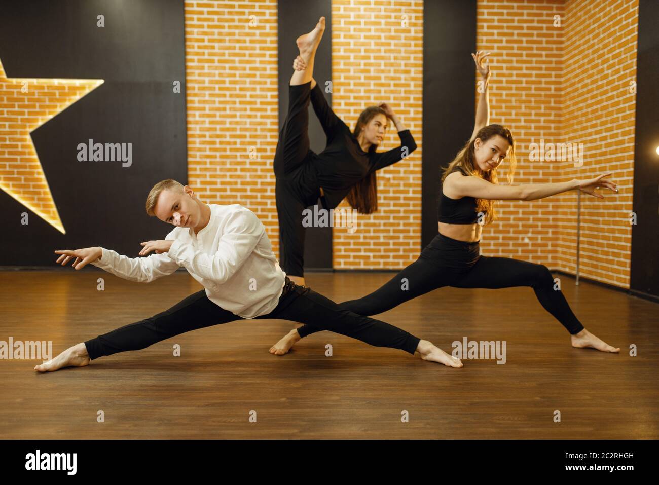 Contemporary dance performers poses in studio. Female and male dancers ...