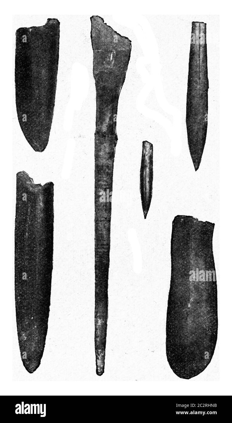 Belemnites hi-res stock photography and images - Alamy