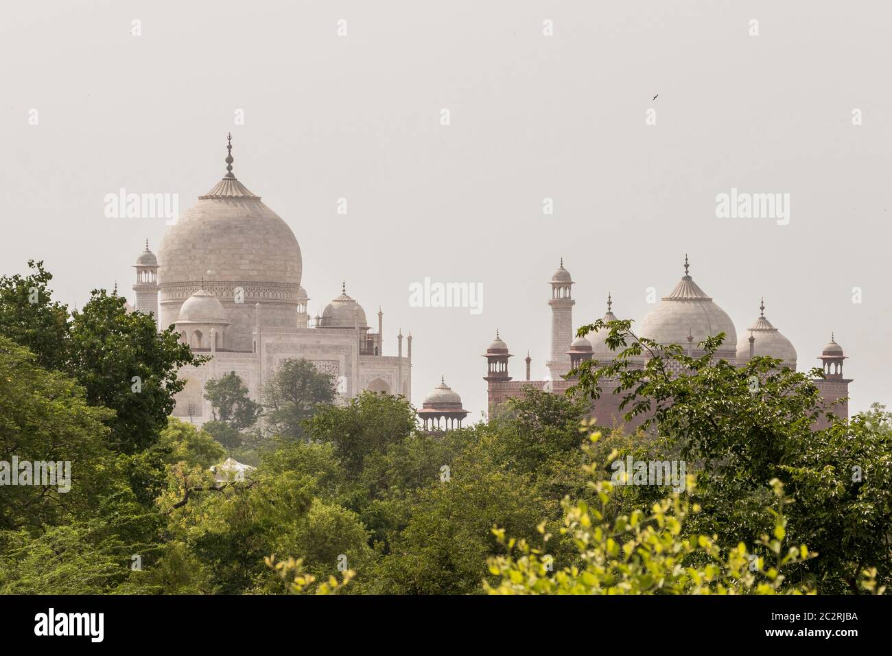 Famous Taj Mahal in Agra, India. View from Taj Nature Walk Stock Photo ...