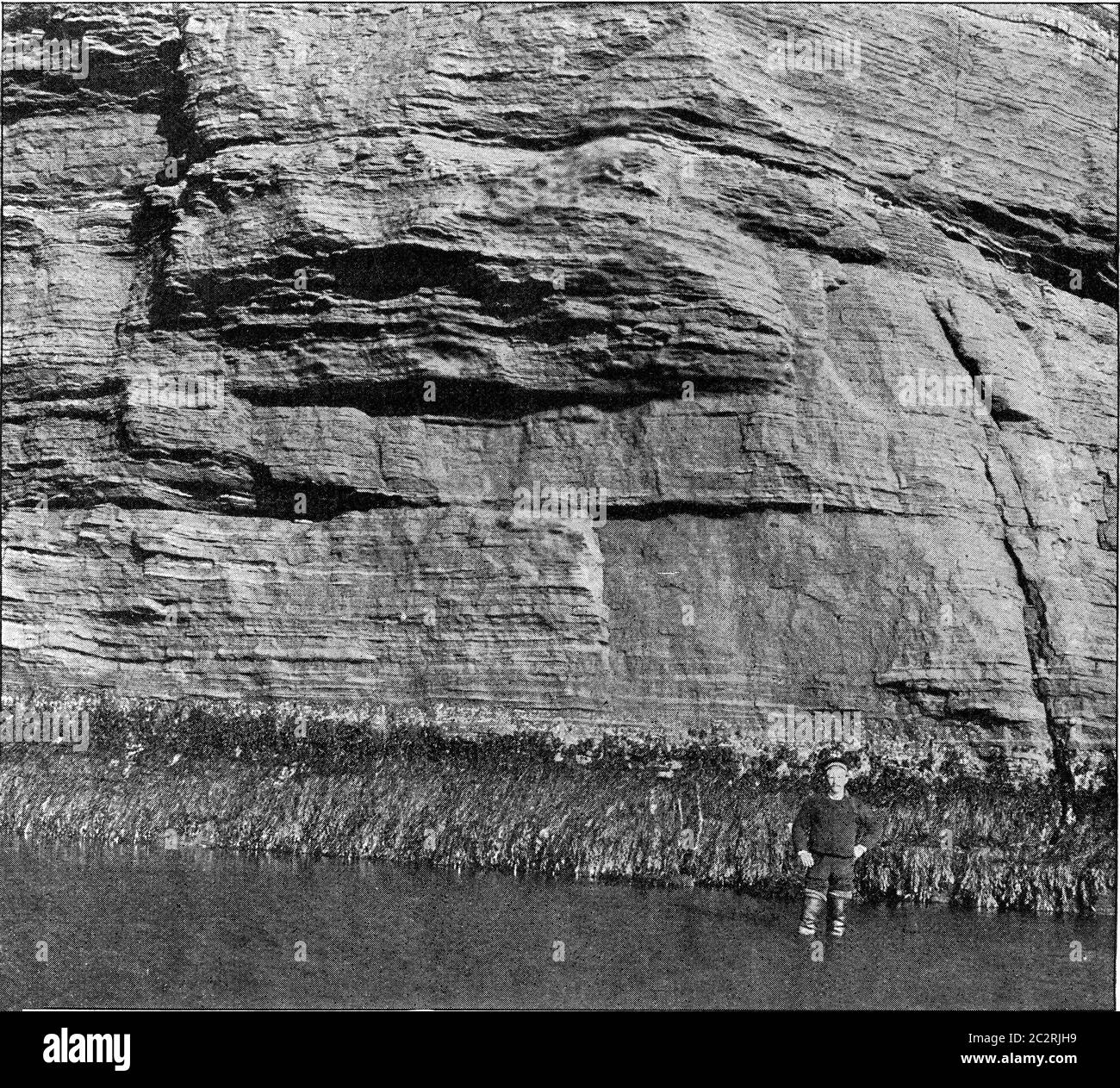 Tide wrack Black and White Stock Photos & Images - Alamy