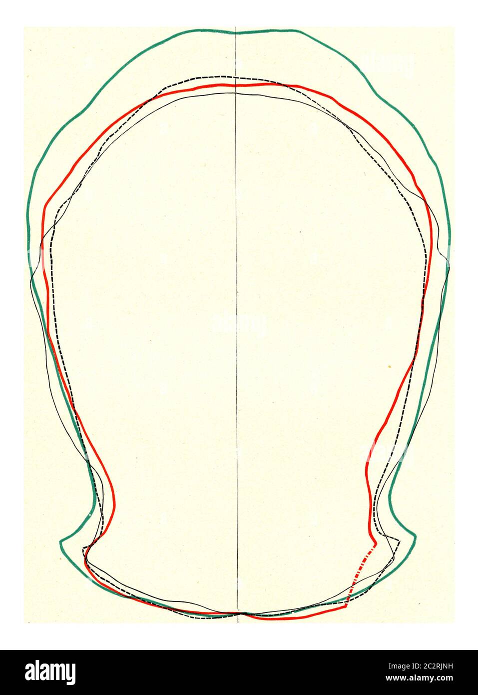 Horizontal curves of the same skulls, vintage engraved illustration ...