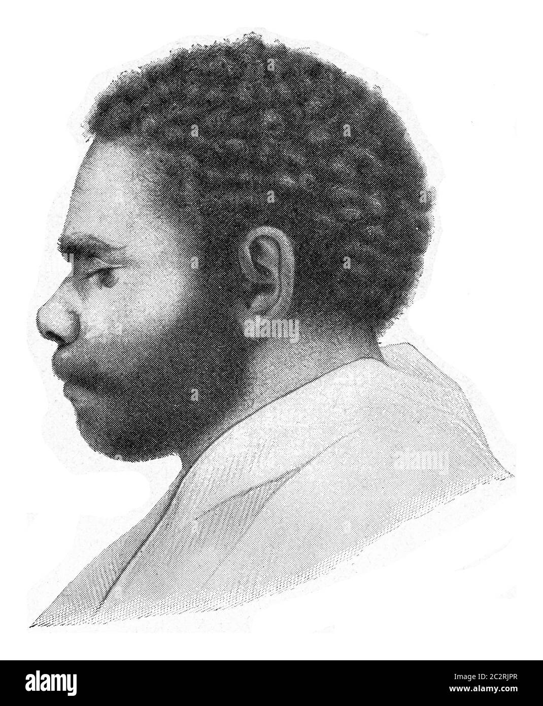 Head and face of one of the last survivors of the totally exterminated ...