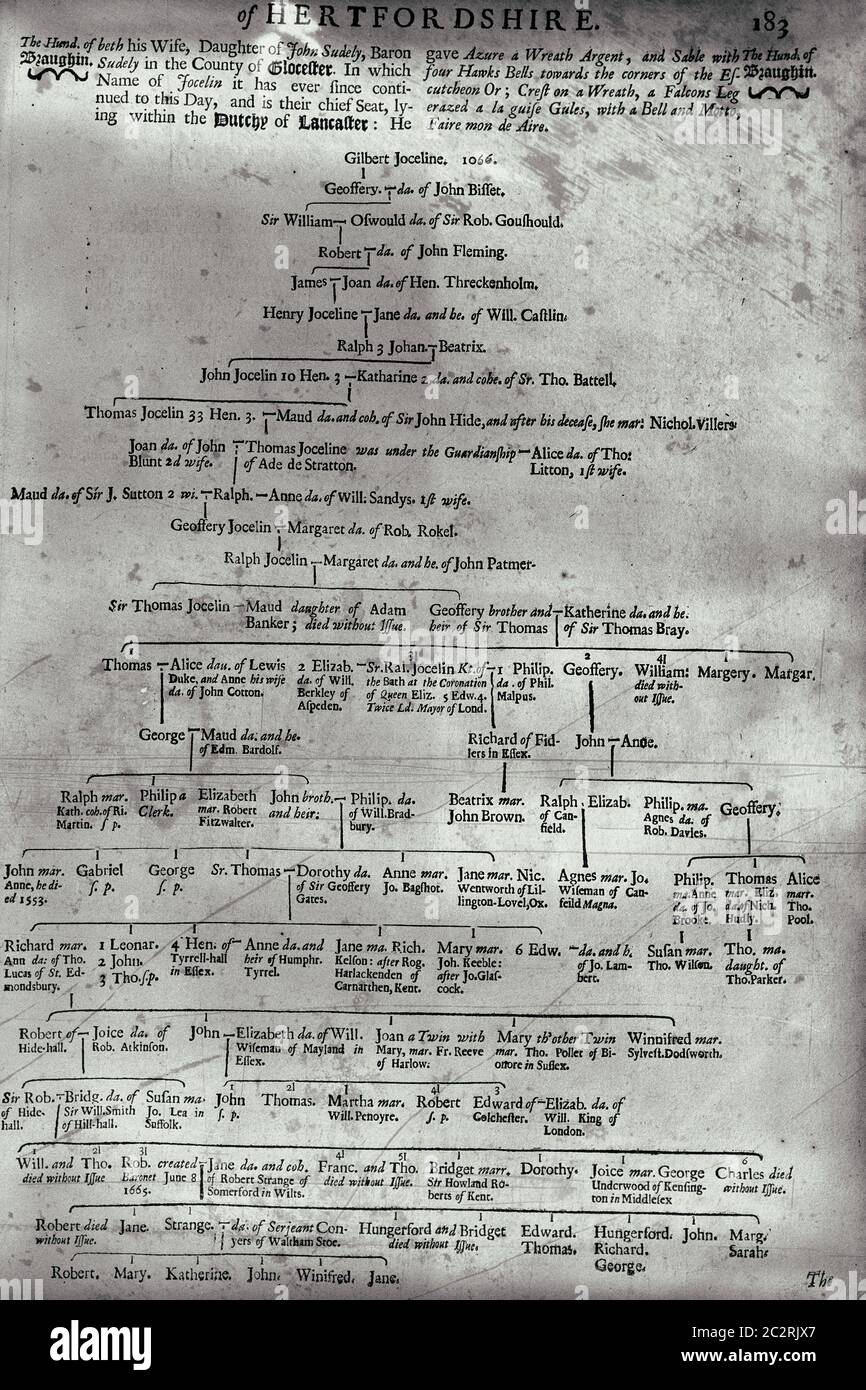 Jocelin family tree hi-res stock photography and images - Alamy