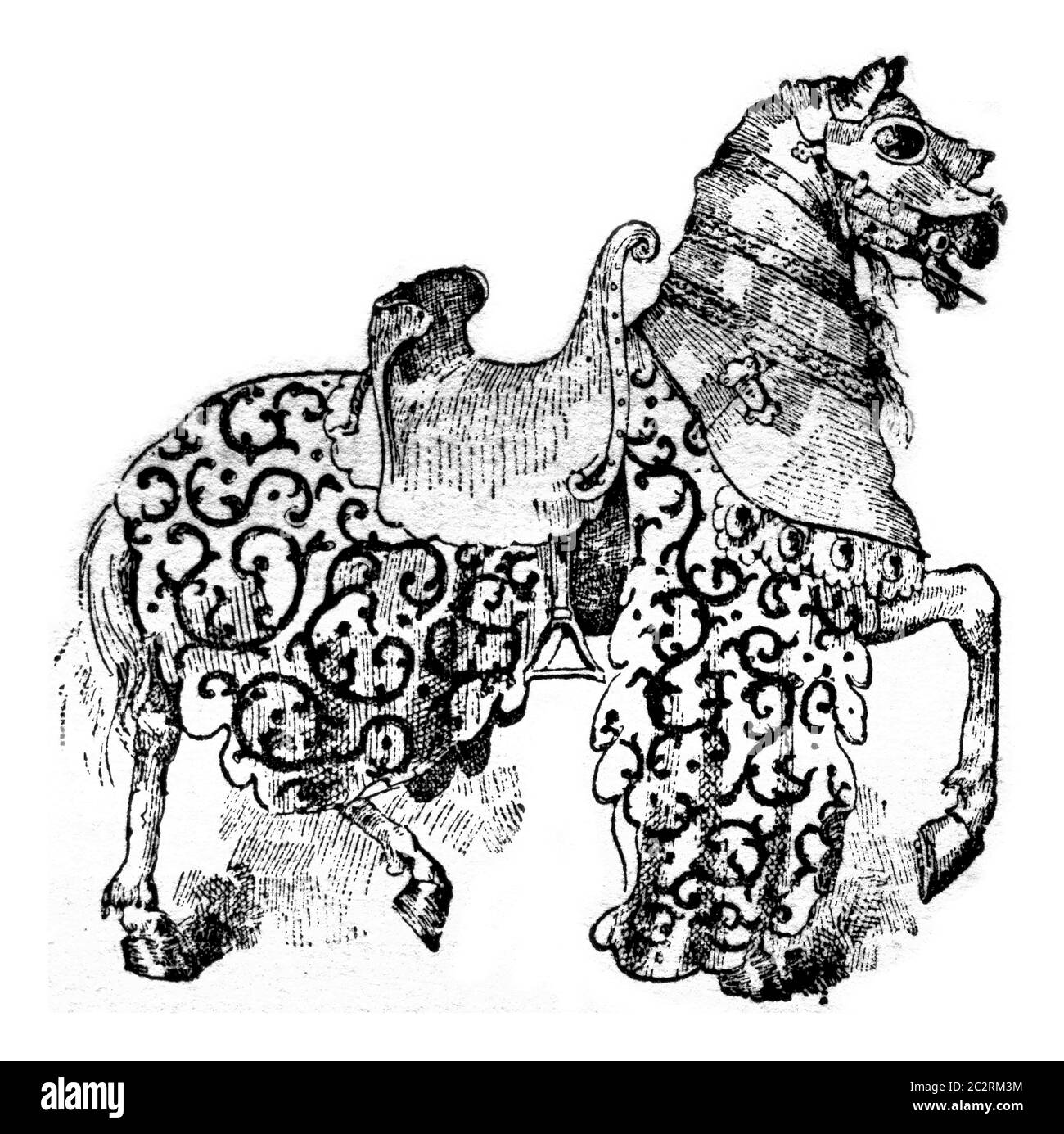 Caparison horse Black and White Stock Photos & Images - Alamy