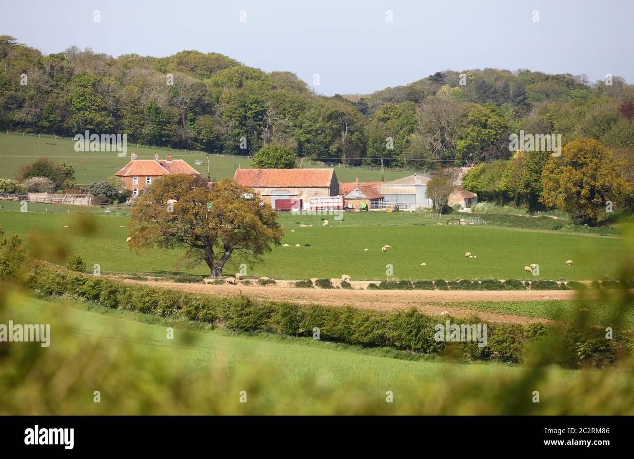 Farmland farm buildings near hi-res stock photography and images - Alamy