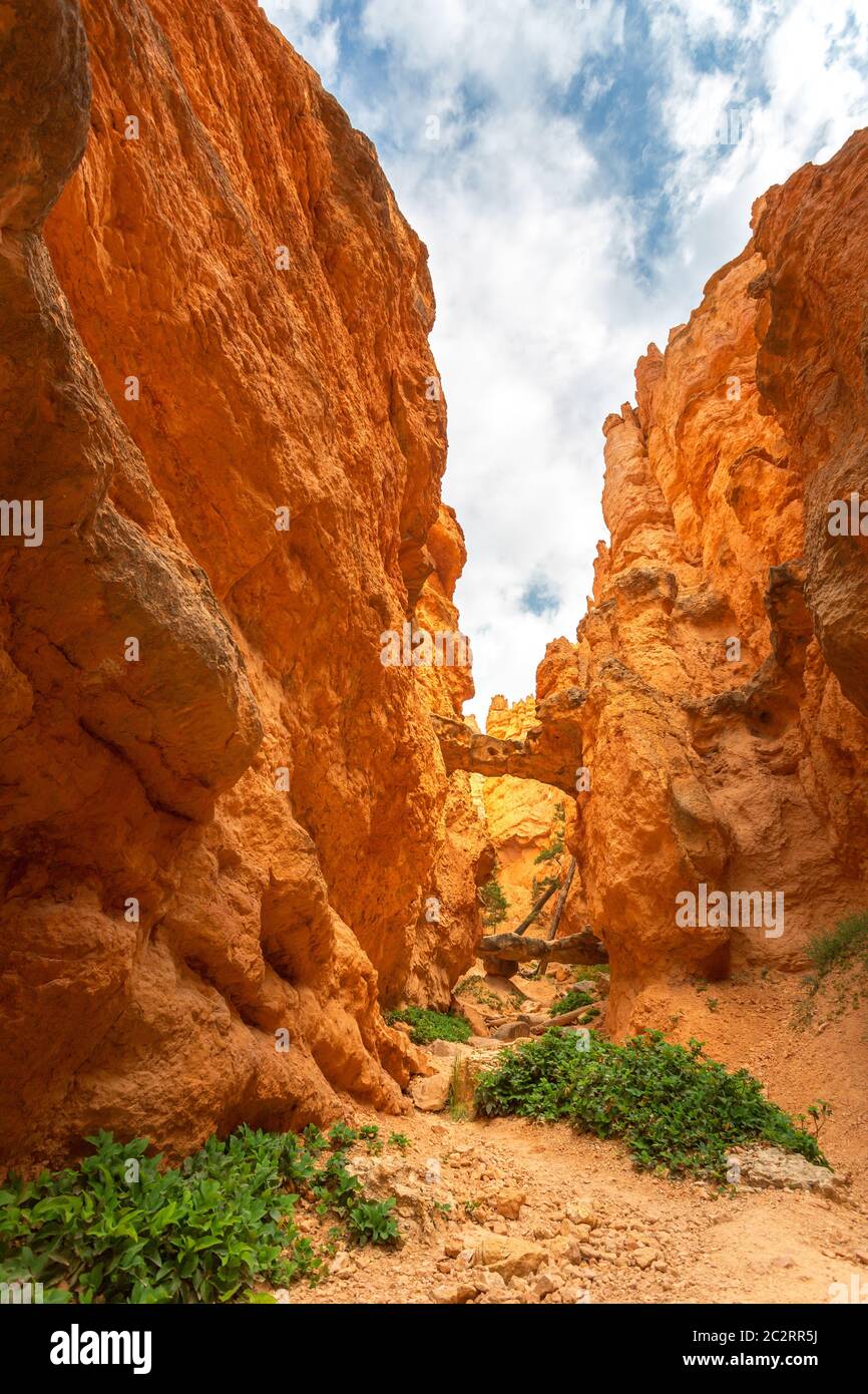Bottom view from canyon of rocky mountains at Bryce Canyon National ...