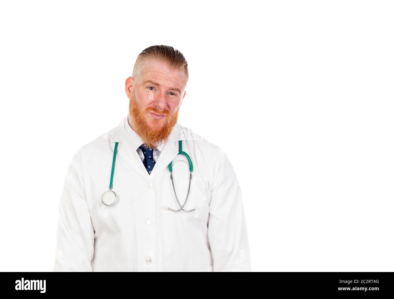 Redhead doc isolated on a white background Stock Photo - Alamy