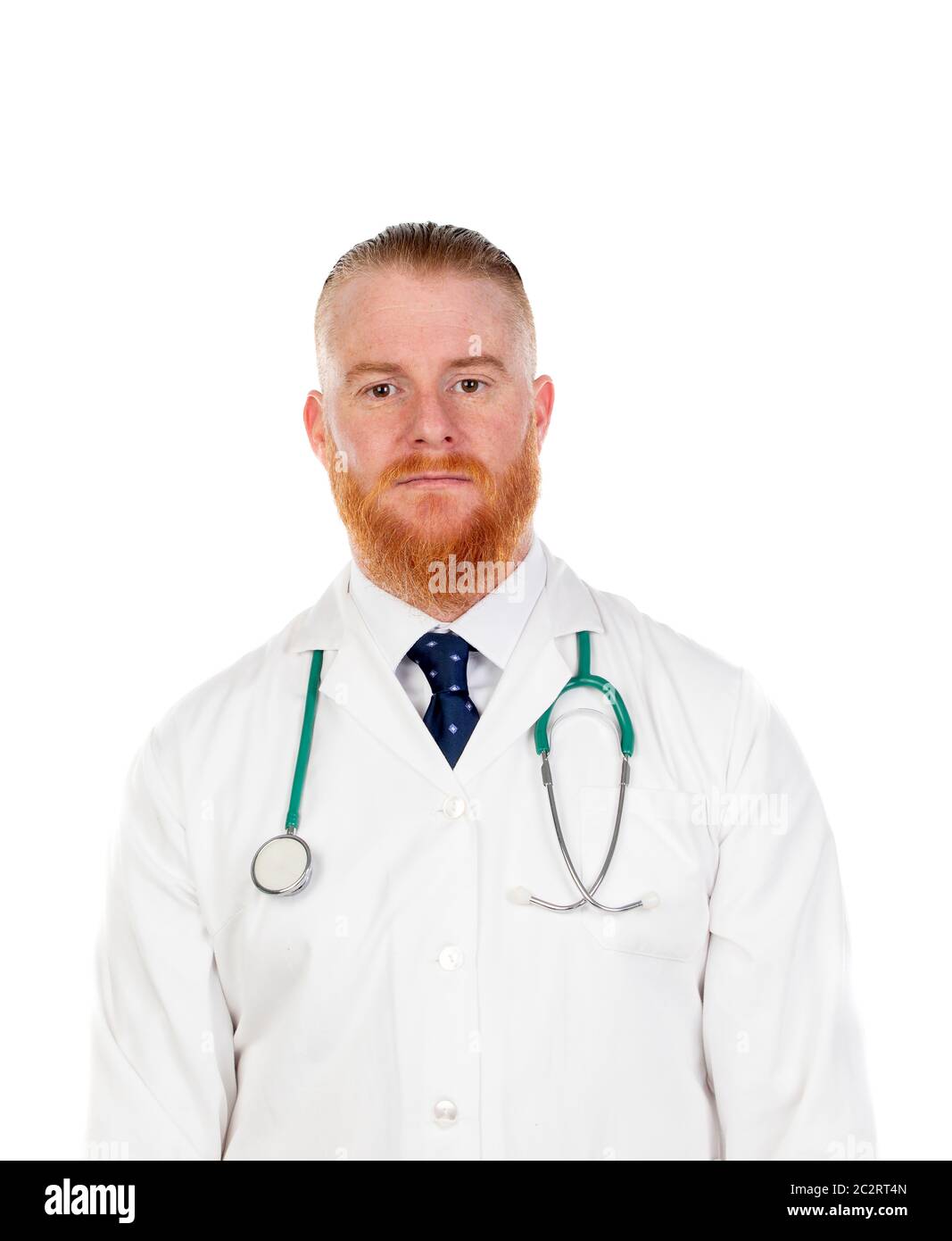 Redhead doc isolated on a white background Stock Photo - Alamy