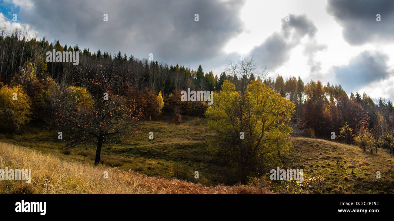 Clouds tree hill hi-res stock photography and images - Alamy